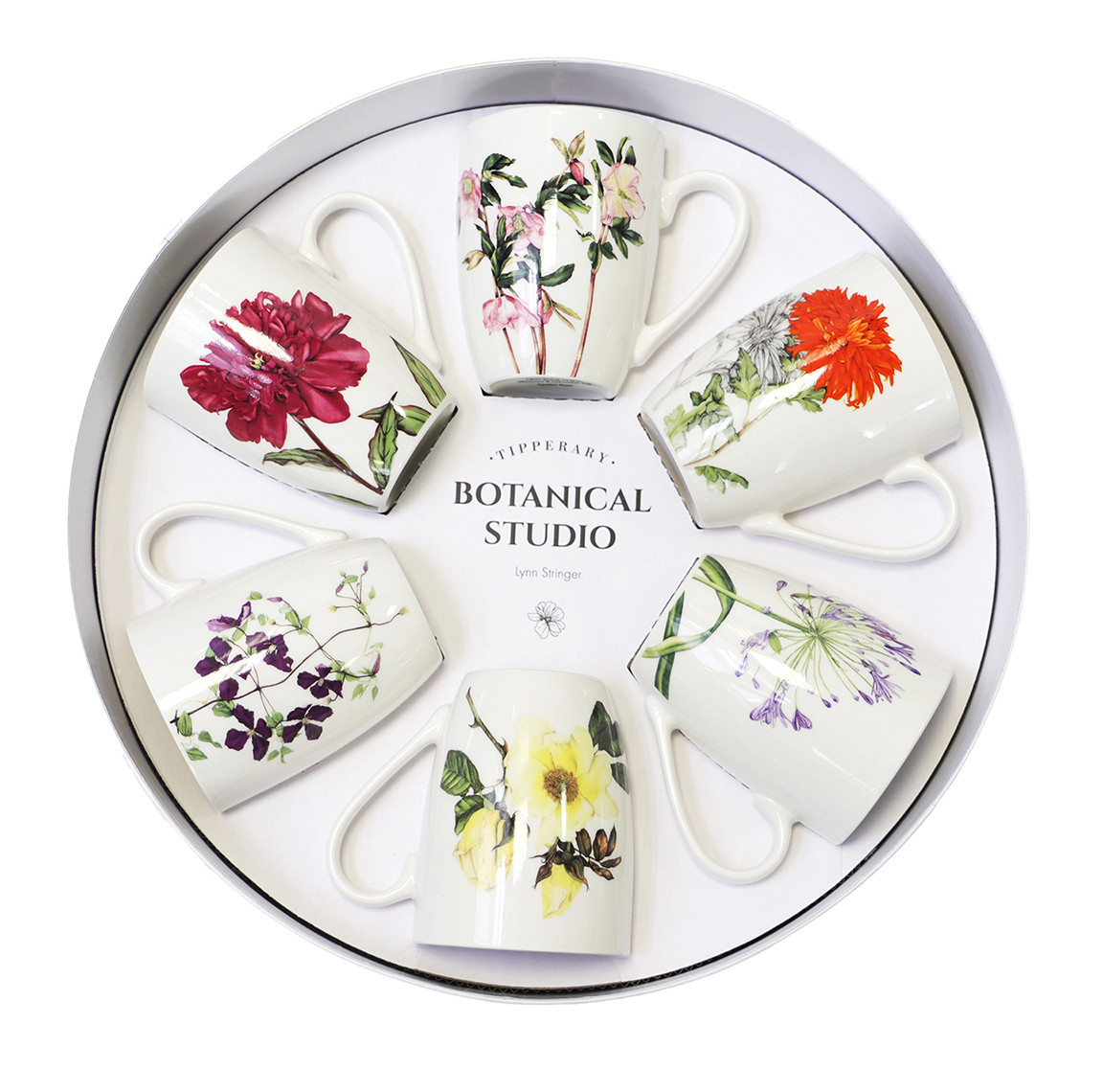 Botanic Studio Set Of 6 Mugs