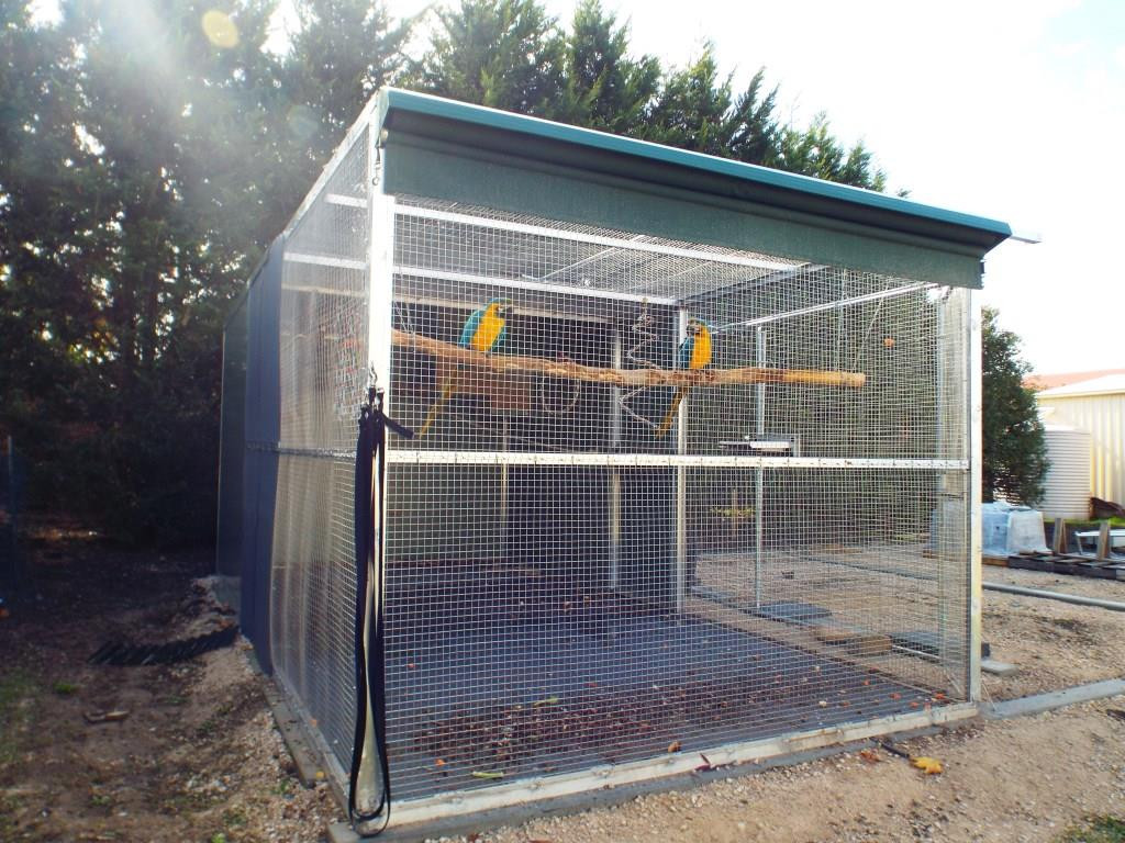 WM50 Welded Wire Mesh Sheet: 25.4mm Pitch