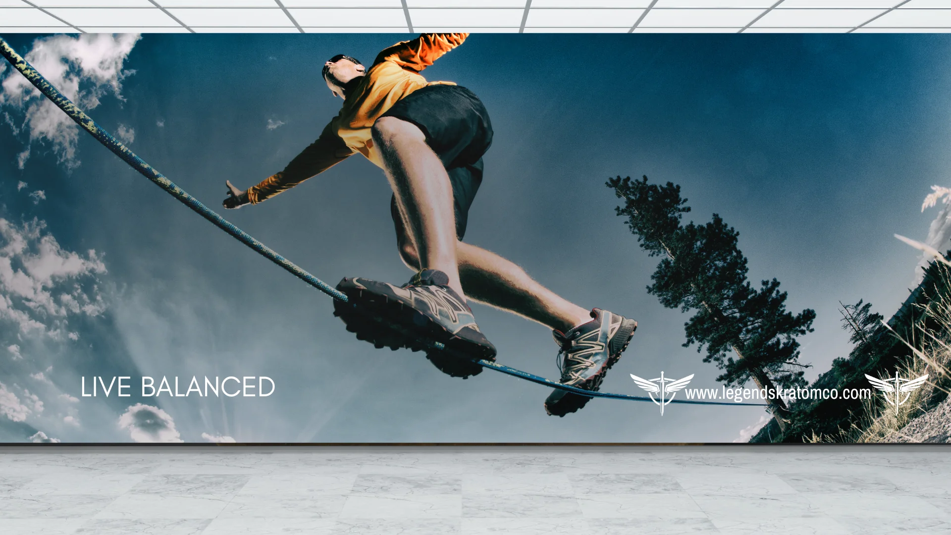 Live Balanced: Unleashing Your Legendary Life through Balance - Legends ...