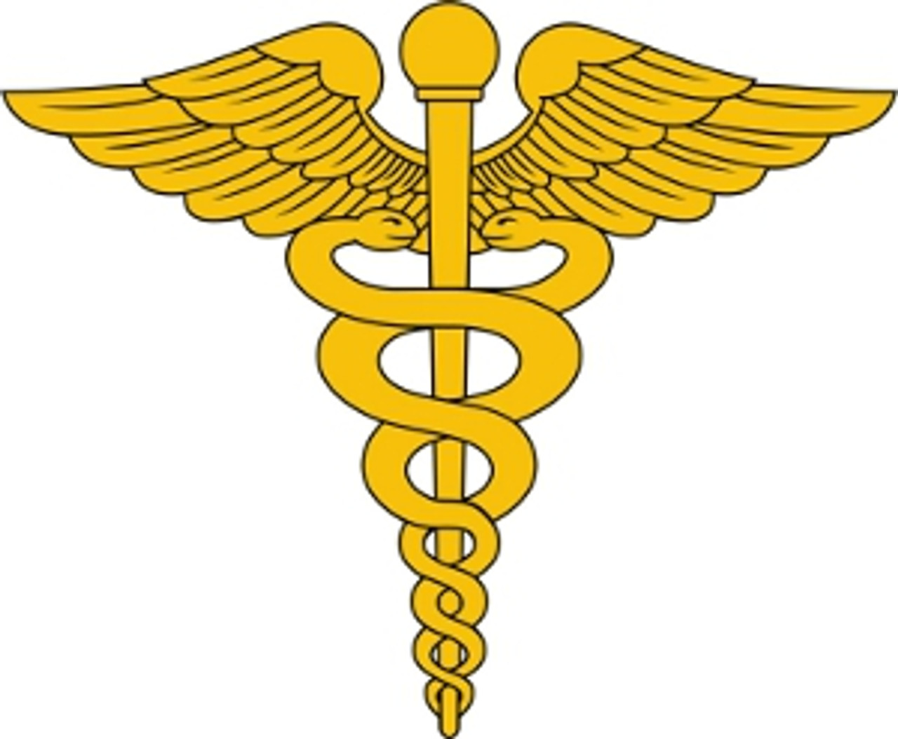 Army Medical Insignia Army Military army-medical-insignia-army-military