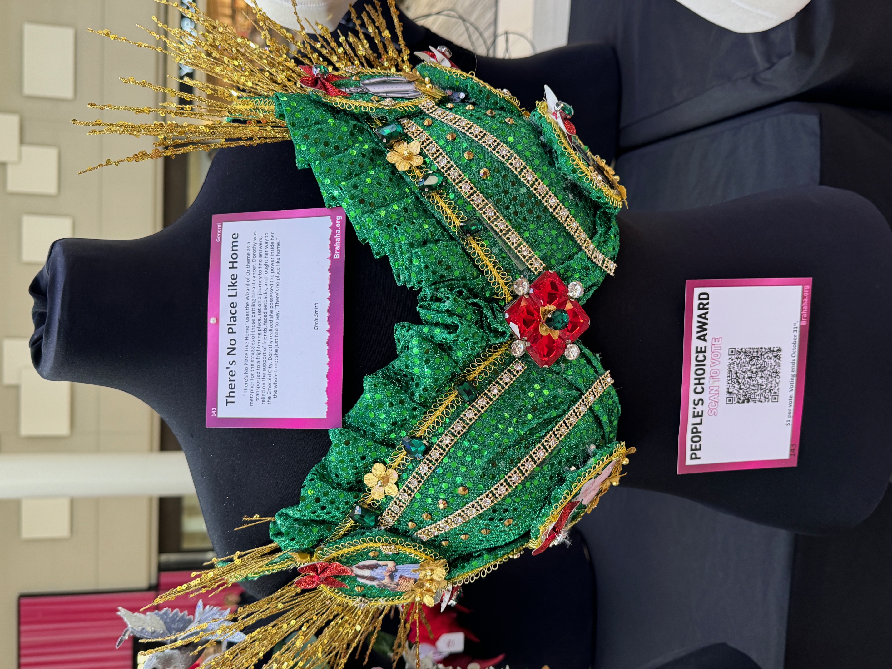 Bra-Ha-Ha: Creativity and Compassion in the Fight Against Breast Cancer ...