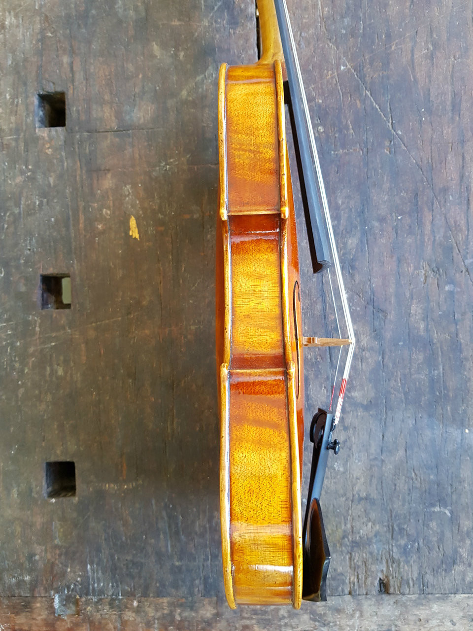 Struna Master 4/4 Violin Outfit (includes Bow, Case & Pro Set-Up ...