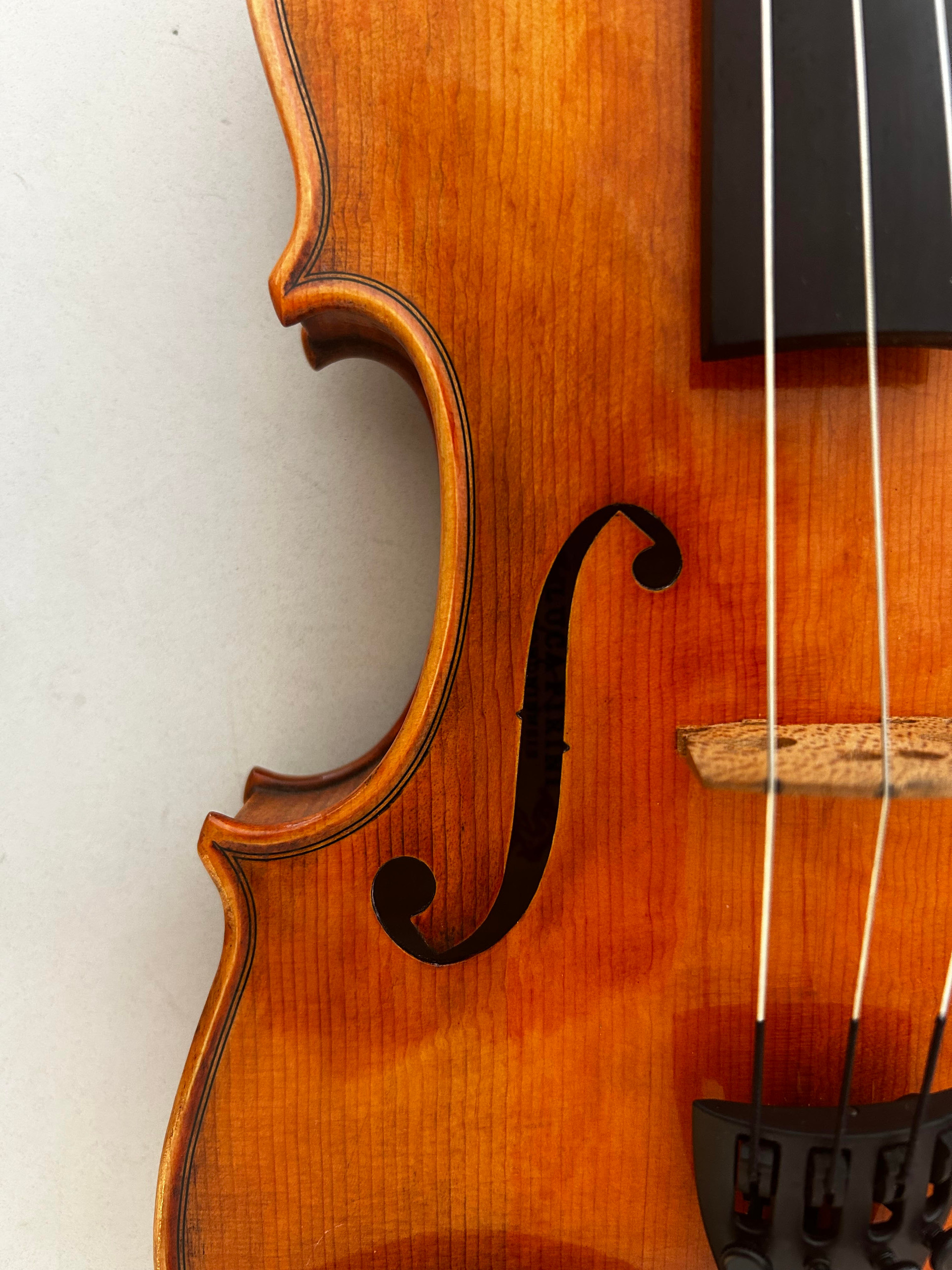 advanced violins, student violins, professional violins by Whitehorse Music
