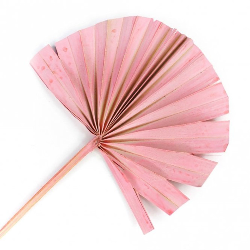 Adamapple Pink Shell Palm Spear