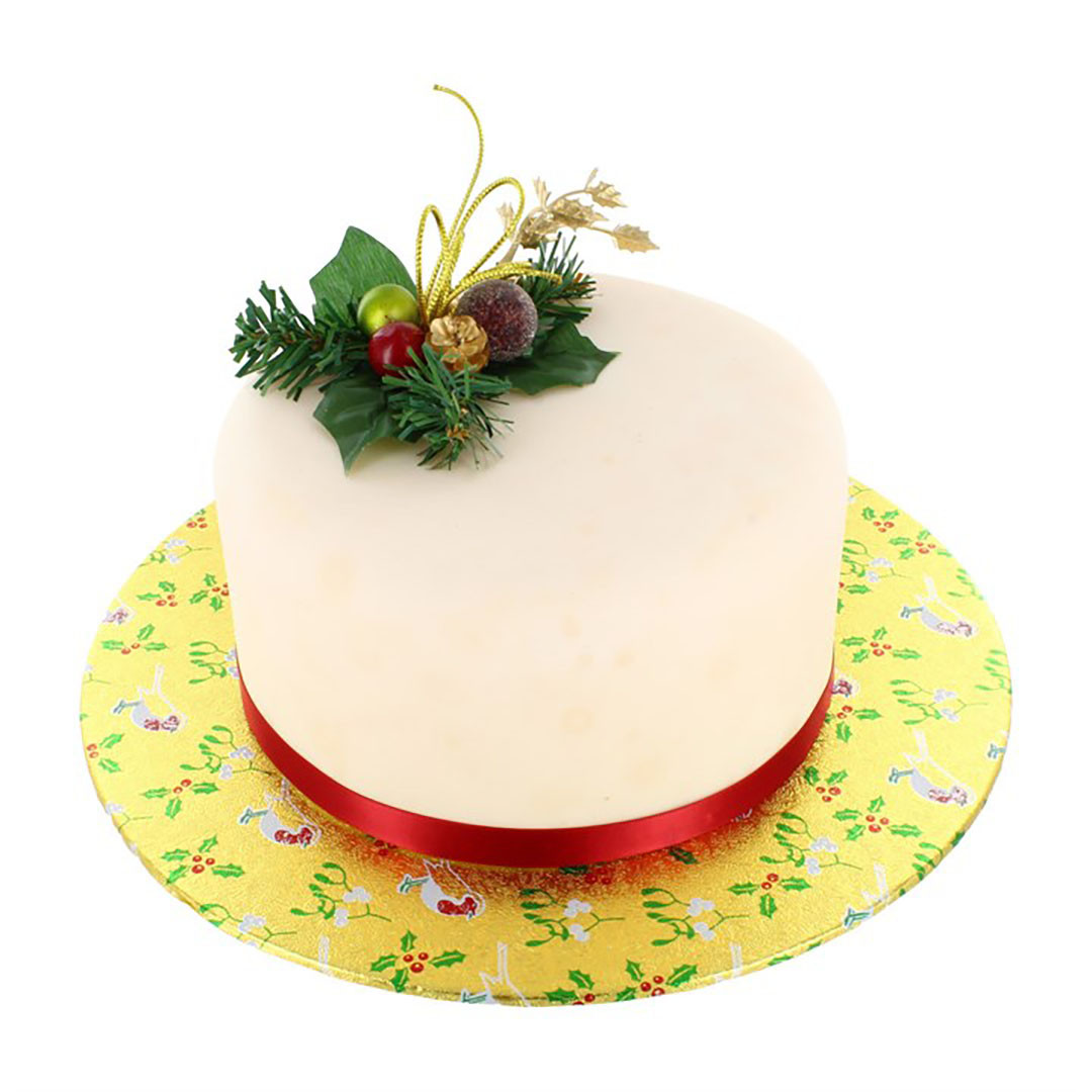 10" Christmas Robin Cake Card