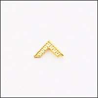 Gold Worshipful Masters Square Lapel Pin