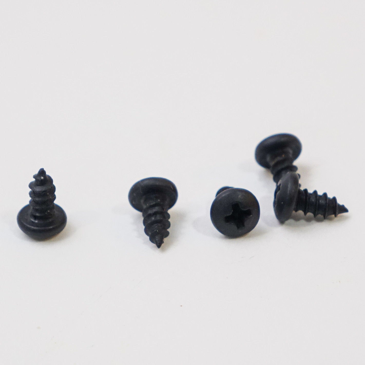 Plaque Screws for Engraving Plates Black Color - Plaque Fastening ...