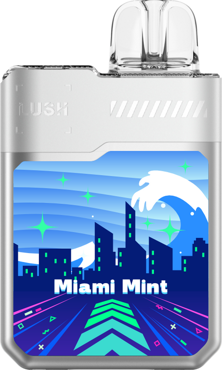 For Sale Flava Miami Mint Geekbar 15000 Puffs Disposable Vape In Dubai ...