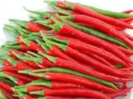 Hot Pepper F1 Red Flame - 10 Seeds - Seed Megastore Ltd