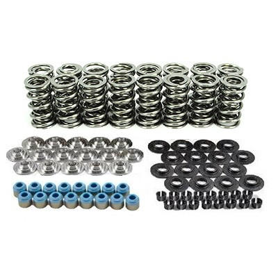 LSXceleration Dual LS Valve Spring Kit 80540K2TI