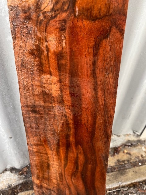 Craft Wood Stock - Gun Stocks - Global Wood Source