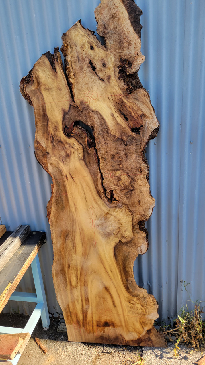Myrtle Slab - MS-1 - Global Wood Source