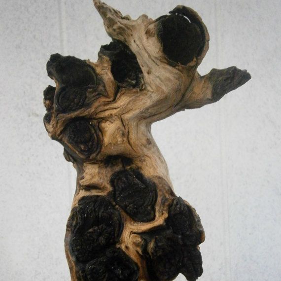Purchasing Global Wood: The Advantages - Global Wood Source