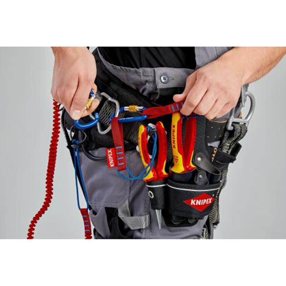 Knipex Screwgate Carabiner - Pack of 2 - ITS