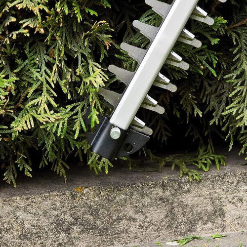 Einhell Gc Ch 1855 1 Li Solo 18v Hedge Trimmer Einhell Hedge Trimmers Uk