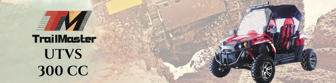 300CC UTV for Sale | TX Power Sports