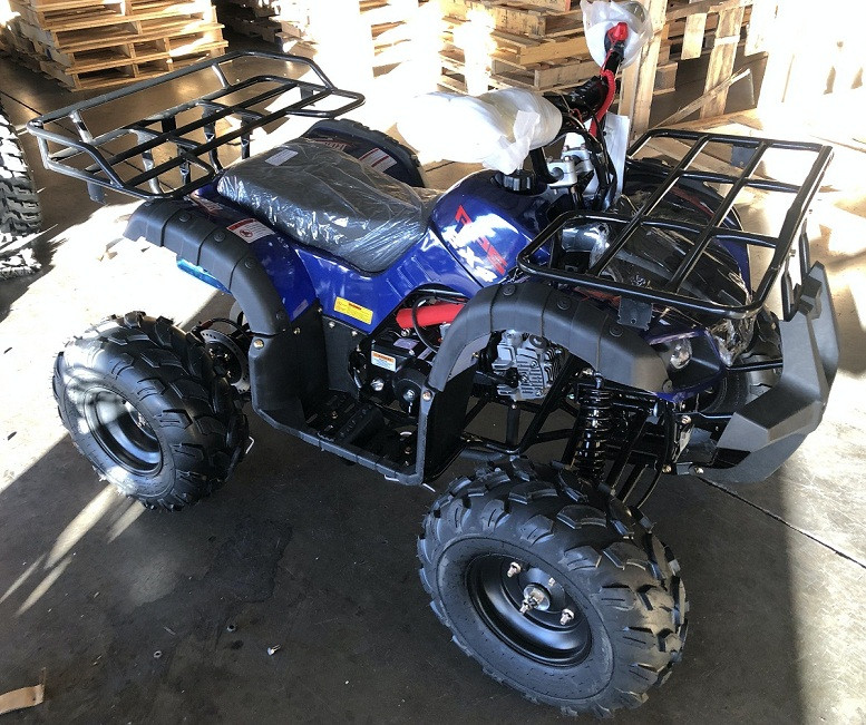 Explore New Mini Desert 125cc ATV Online | TX PowerSports