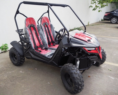 Buy New TrailMaster Cheetah 300EX Go Kart, CVT - Txpowersports.com