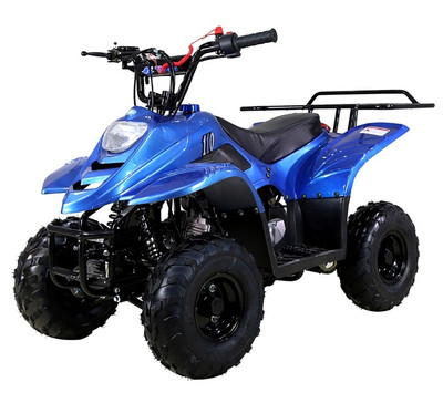 The Tao Motor ATA-125d ATV Online At | TXPowersports