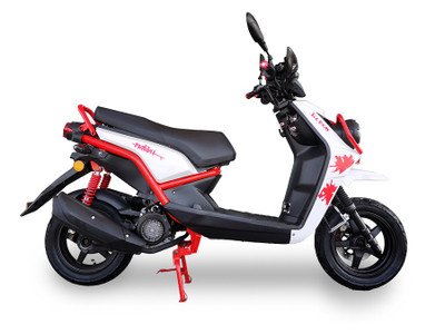 Buy Ice Bear HAWKEYE (PMZ150-3C) 150CC Scooter at - Txpowersports.com