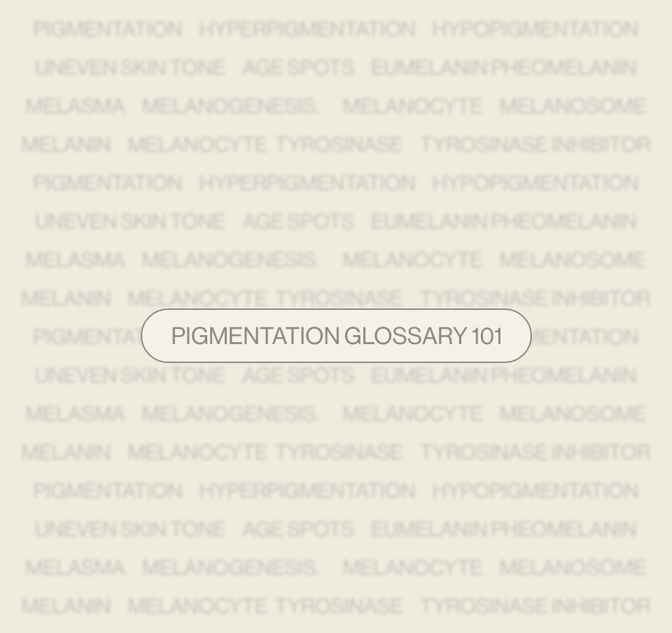Pigmentation 101: a definition of the terms you need to know - Advanced ...