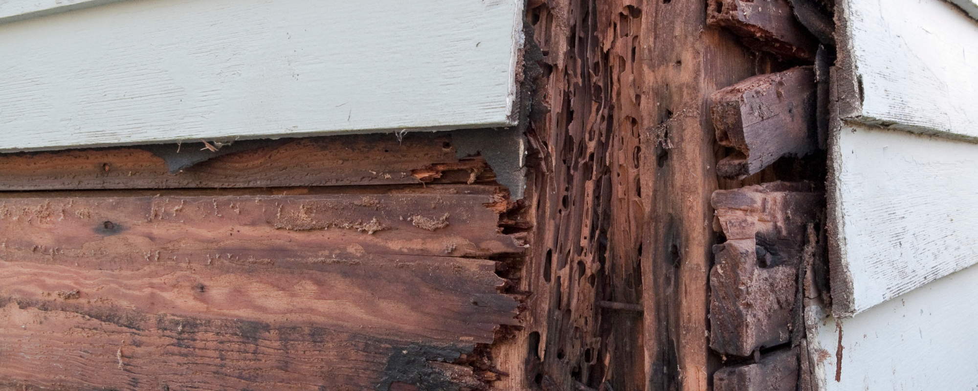 Hoe herstel je verrot hout? - Onlineverf.nl