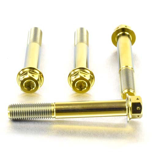 Titanium Front Brake Caliper Mount Bolt Kit DualDrive | Pro-Bolt