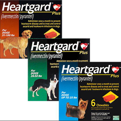 Heartgard Plus