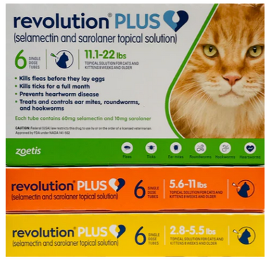 Revolution Plus Feline