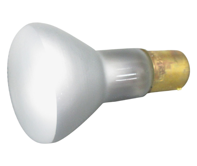 GE Lighting 1385 R12 28-Volt / 20-Watt BA15s Lamp, Incandescent at ...