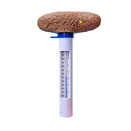 LVTIAN Funny Pool Thermometer Floating Poop Prank Pool and Hot Tub ...