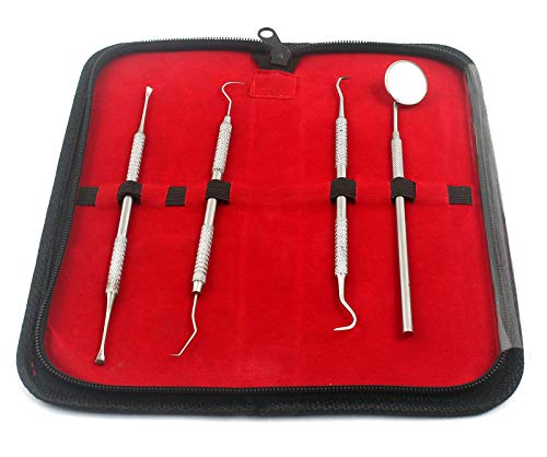 OdontoMed2011 Dental Hygiene Tools KIT - Dental Instruments and ...