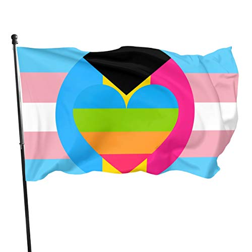 DUANDUAN Transgender Trans Demi and Pansexual Panromantic Pan Pride ...