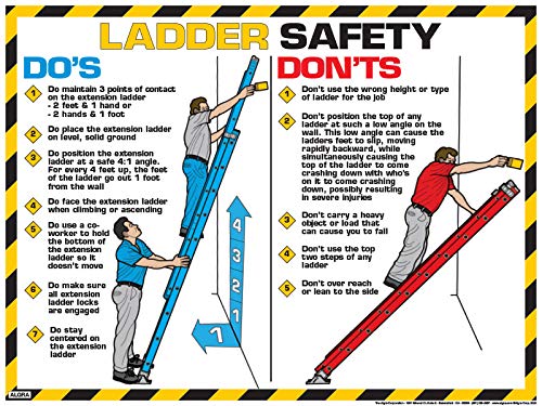 Ladder Safety II Do's and Don'ts Poster -18" x 24"- - Famous Microgreens
