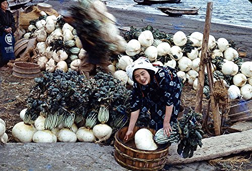 World's Largest Radish 20 Seeds - 100 pluslbs - Famous Microgreens