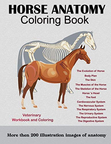 Horse Anatomy Coloring Book- For Equine Vet Anatomy Students ...