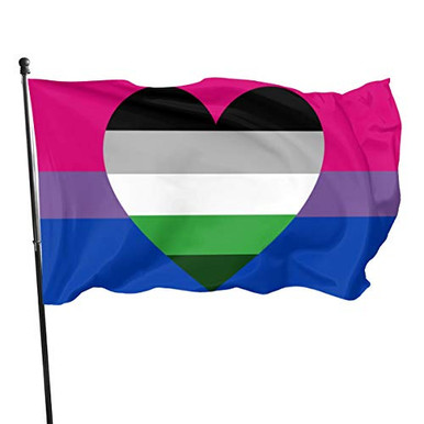 DUANDUAN ARO Bisexual Bi Aromantic Pride Flag Themed Welcome Home House ...