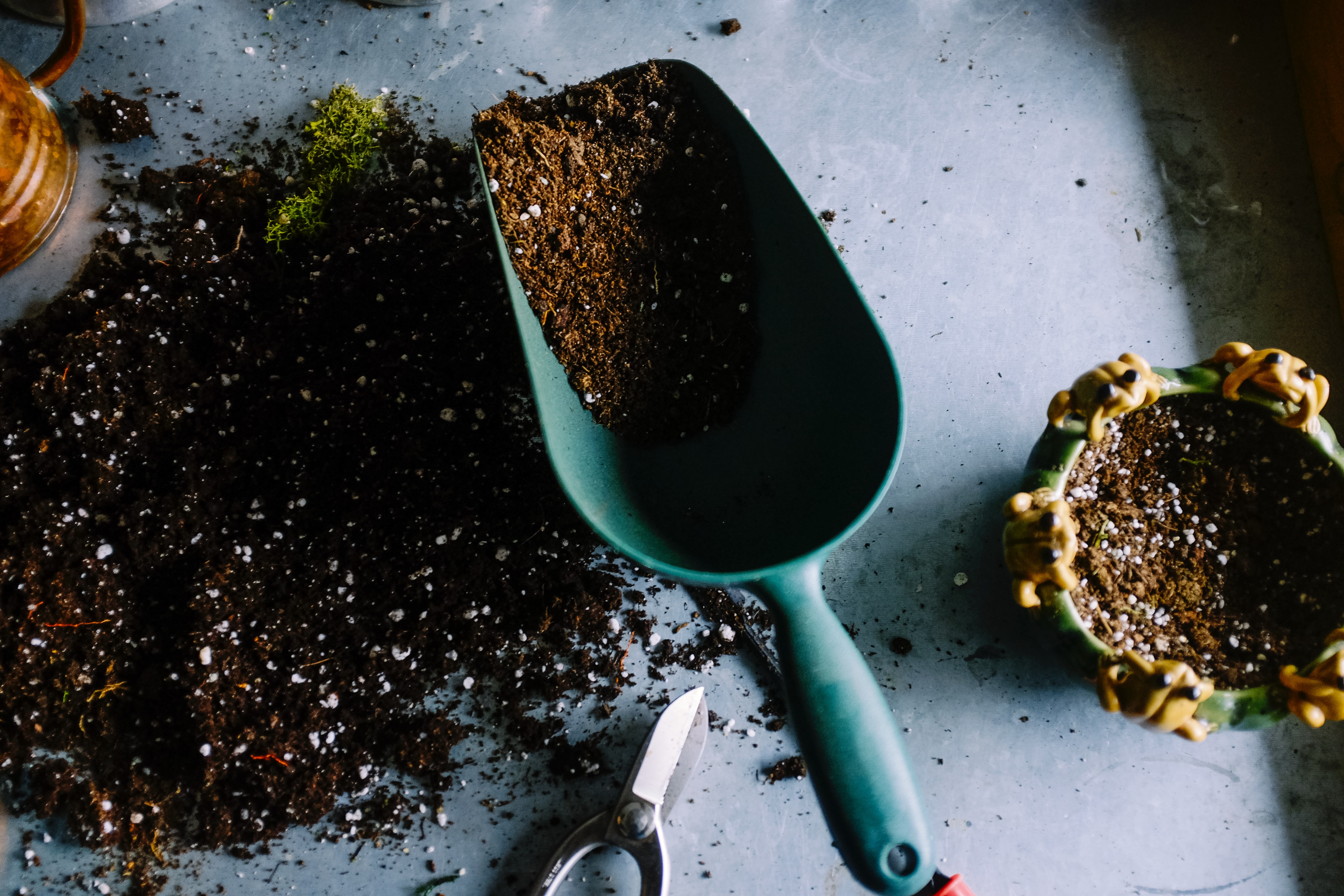 Composting and How to get Started - Color It Green