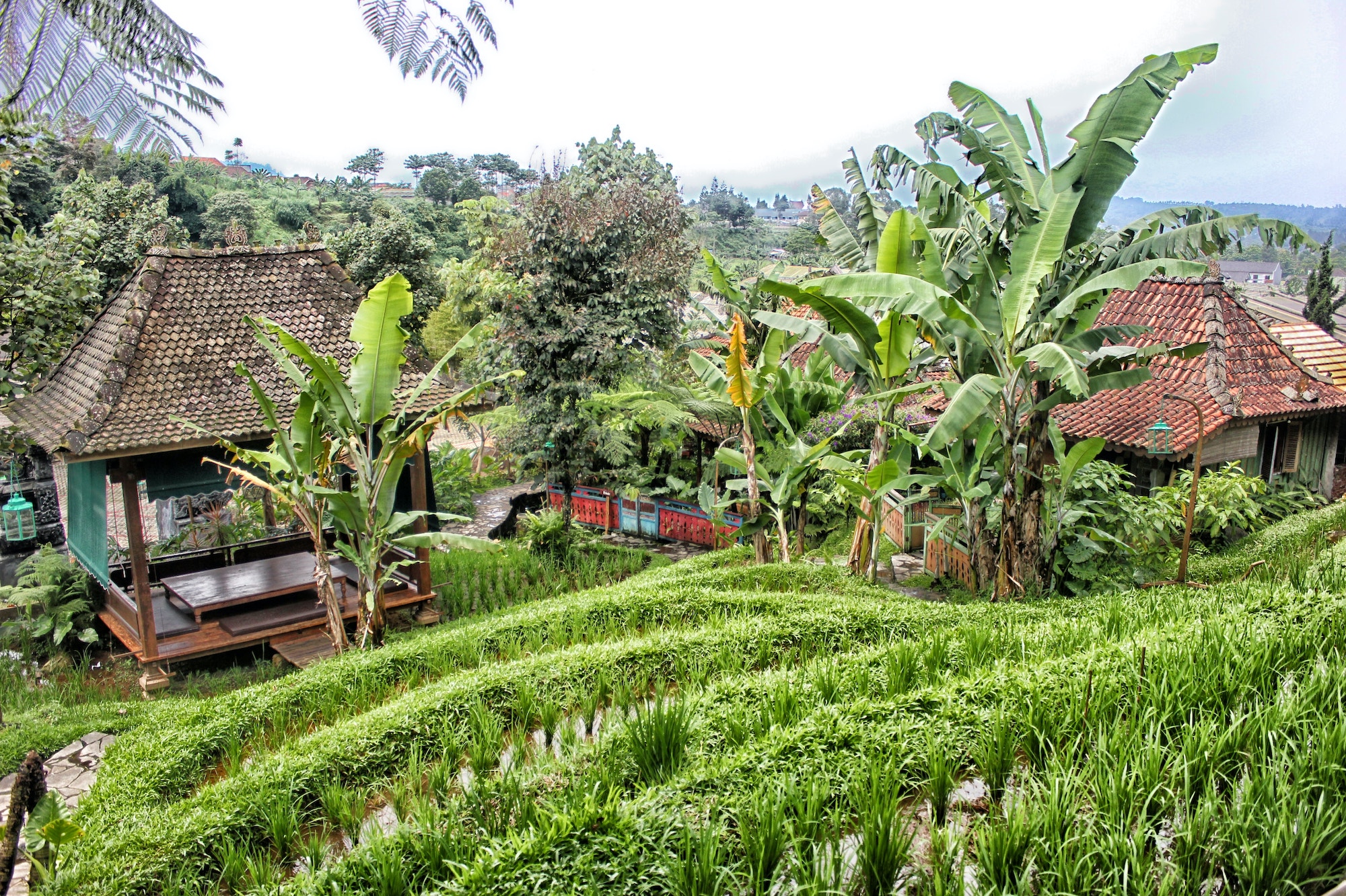 What is Fair Trade? - Color It Green