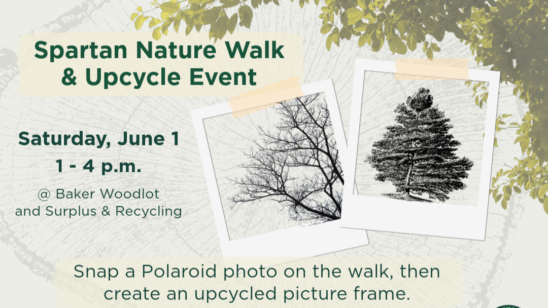 Recap: Nature Walk and Upcycle Event with MSU Forestry - MSU Recycling ...