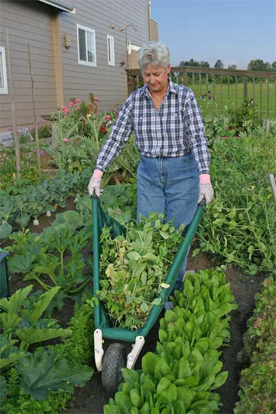 WheelEasy LE Folding Wheelbarrow