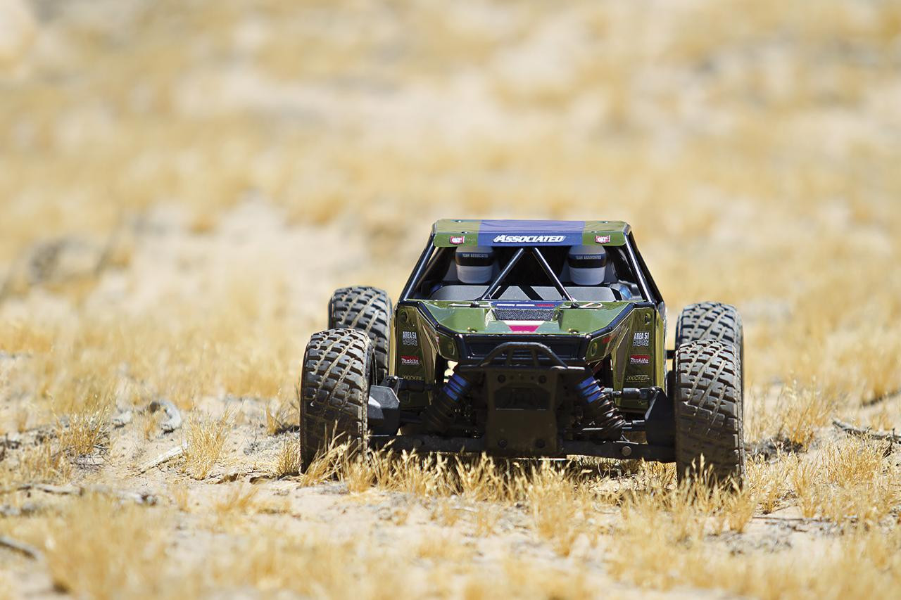 Nomad DB8 Limited Edition Ready-To-Run - Associated Electrics