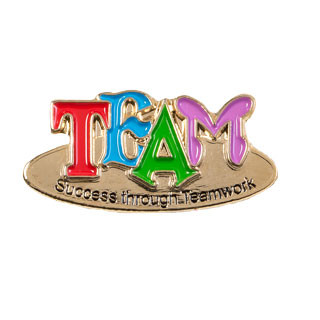 Success Through Teamwork Lapel Pins (10/set) Teambuilding