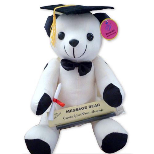 Graduation Signature Message Bear 30cm | Discount Party Warehouse