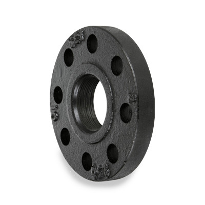 4 GALVANIZED DUCTILE IRON 300 RF THREADED FLANGE - ASC Connect Portal
