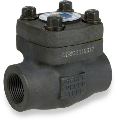 1 24836SC-TE 800# SWING CHECK - ASC Connect Portal