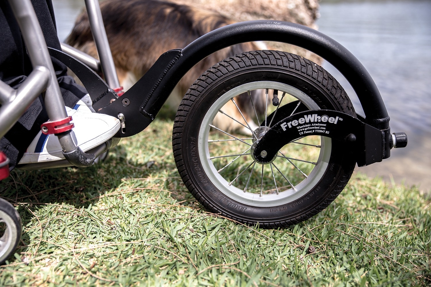 Top Ten Ways the FreeWheel Will Change your Life - Living Spinal