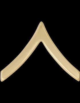 US Army Pin & Clutch Enlisted Rank Insignia
