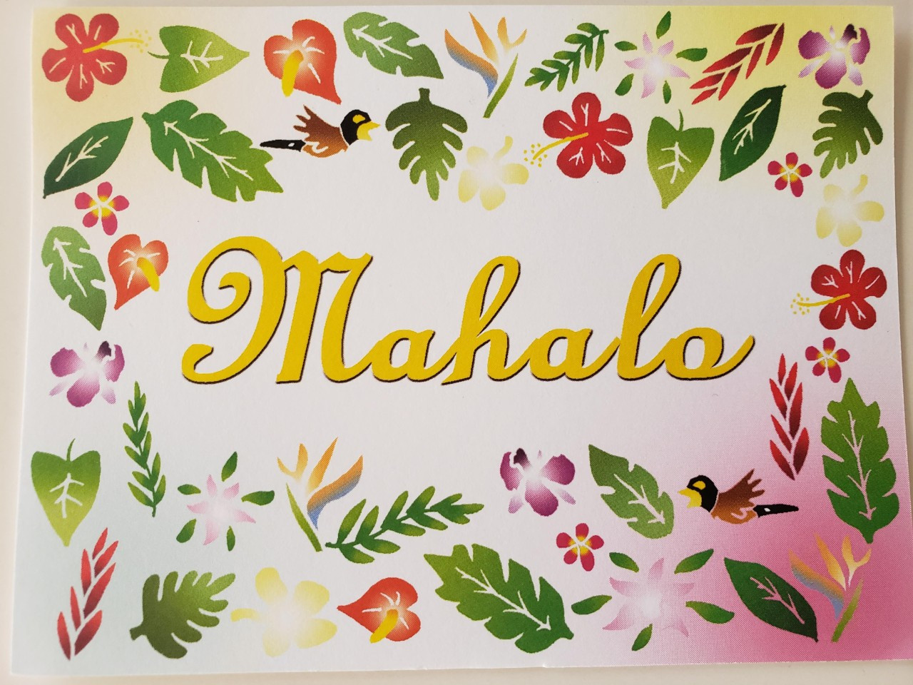 Packaged Note Cards - Page 2 - Local Kine Cards-Maile Way Products, Inc.