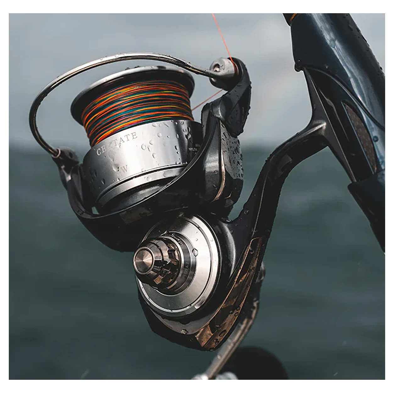 Daiwa 24 Certate SW 5000-H Spinning Fishing Reel - Tackle World ...